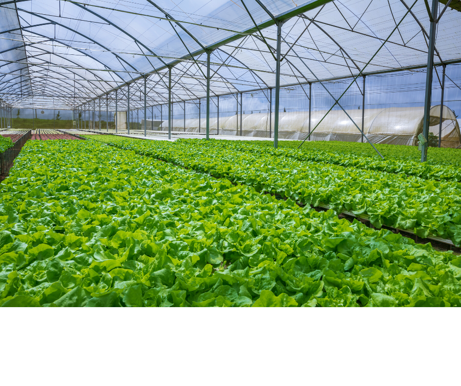 Feeding The World With Controlled Environments — AGRITECTURE