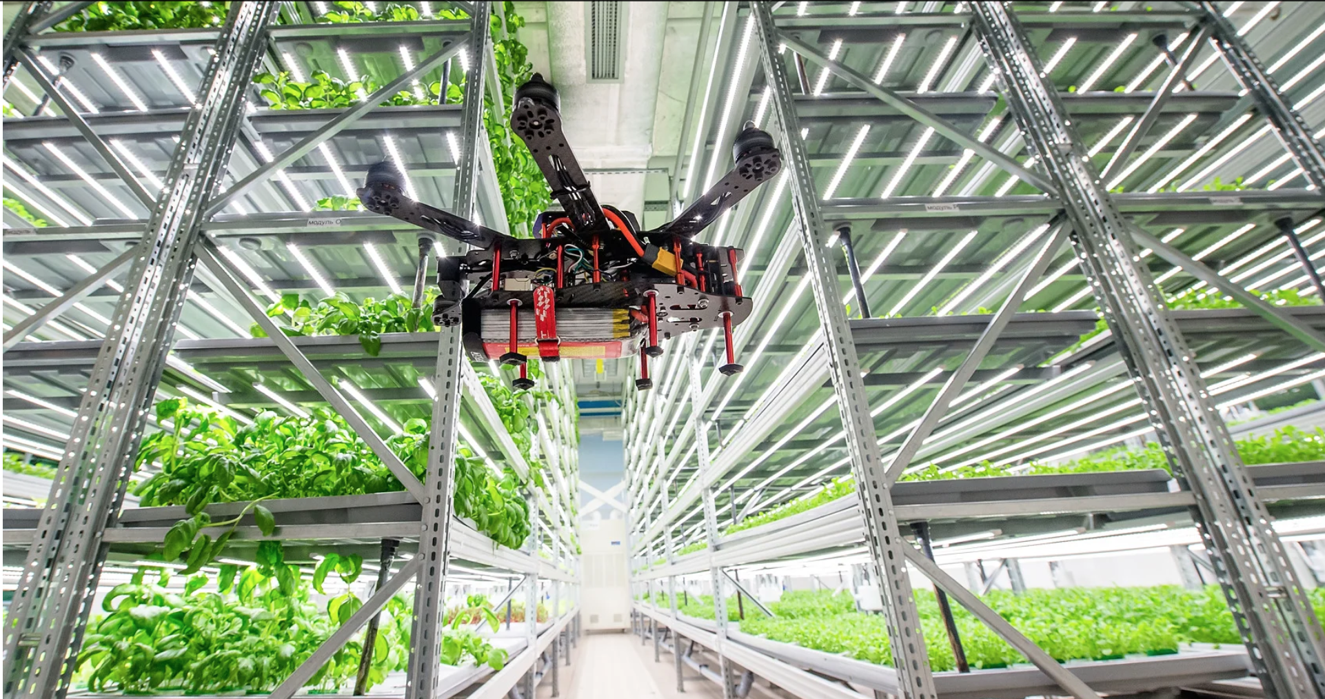 Agtech Startup iFarm Raises $4M For Automated Indoor Farming — AGRITECTURE