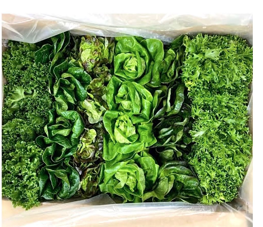 Kalera To Open Newest Vertical Farming Facility In Denver — AGRITECTURE