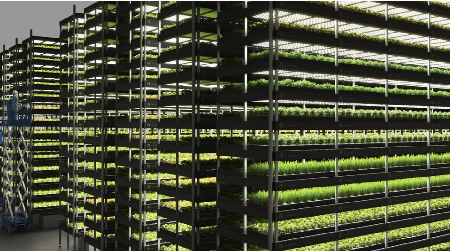 Europe’s Biggest Vertical Farms To Be Established In Denmark — AGRITECTURE