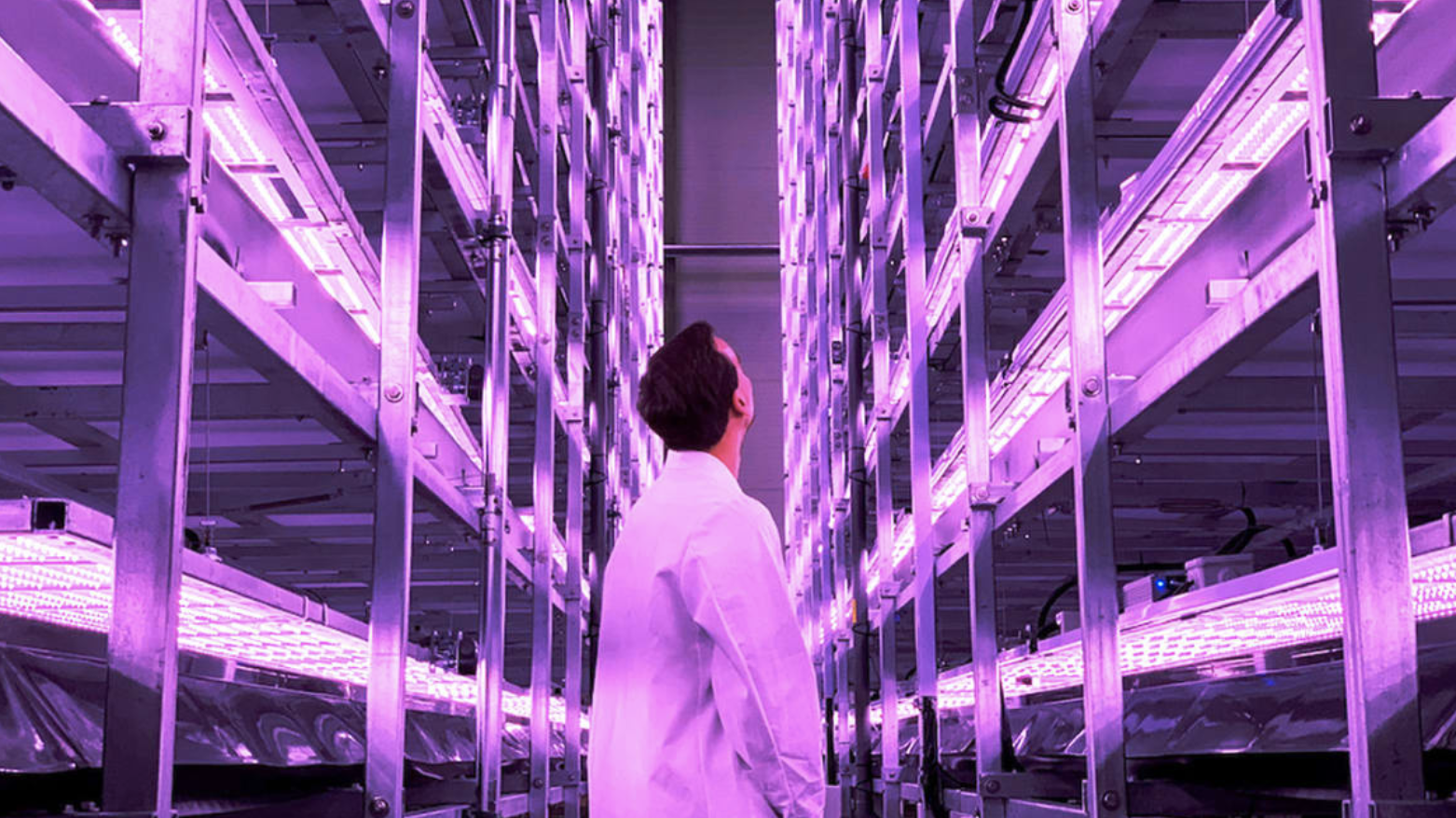 Denmark's Vertical Farm: 1,000 Tons of Fresh Hope