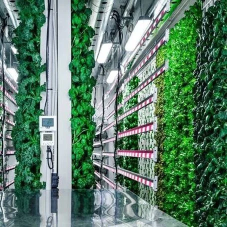horticulture — All Blog Posts — AGRITECTURE