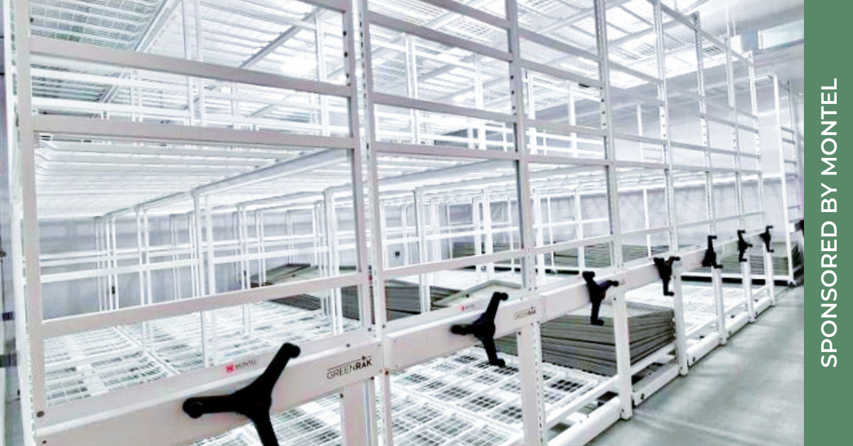 5 Things To Know Before Starting Your Mobile Vertical Farm — AGRITECTURE