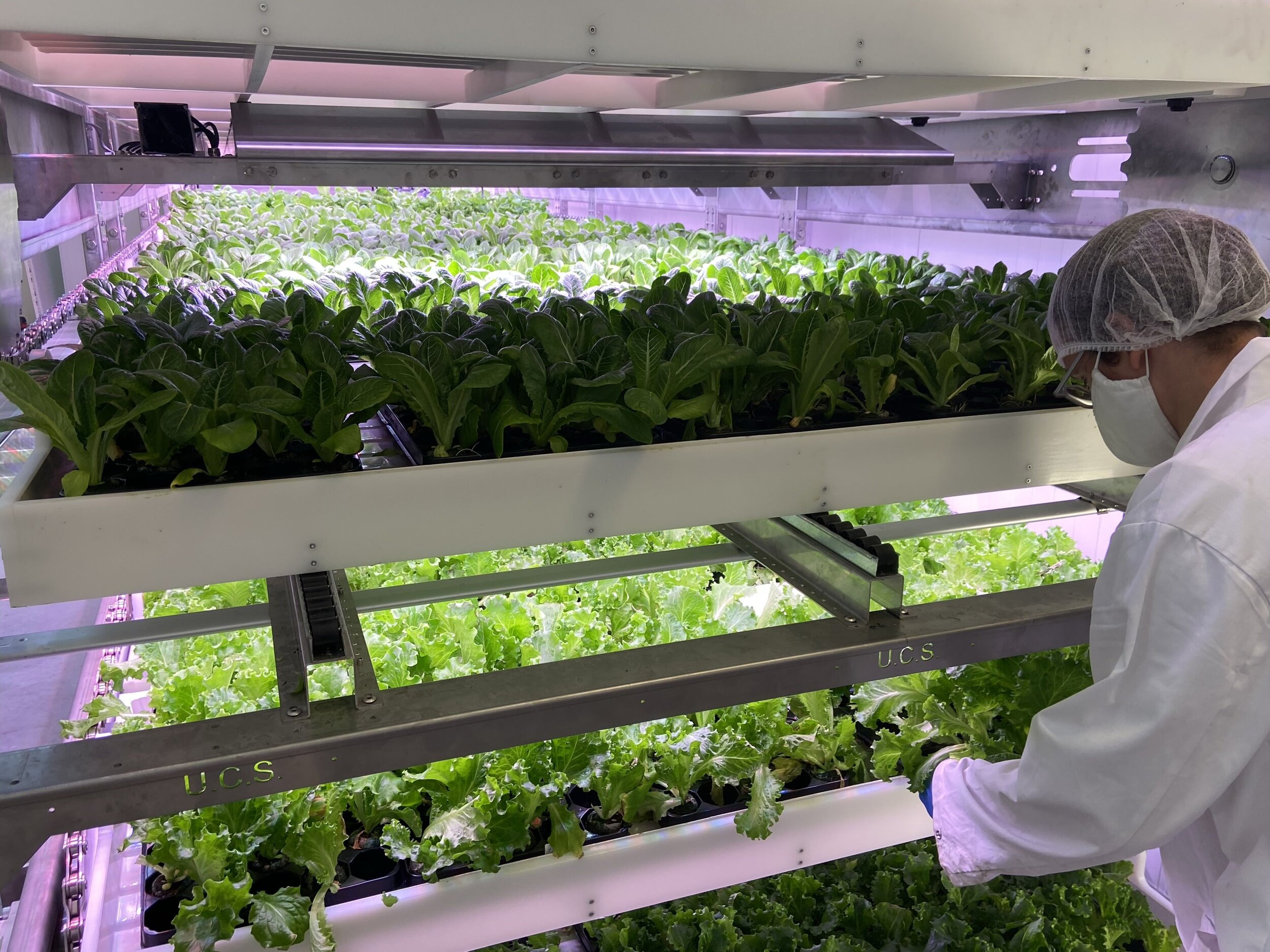 Urban Crop Solutions — AGRITECTURE