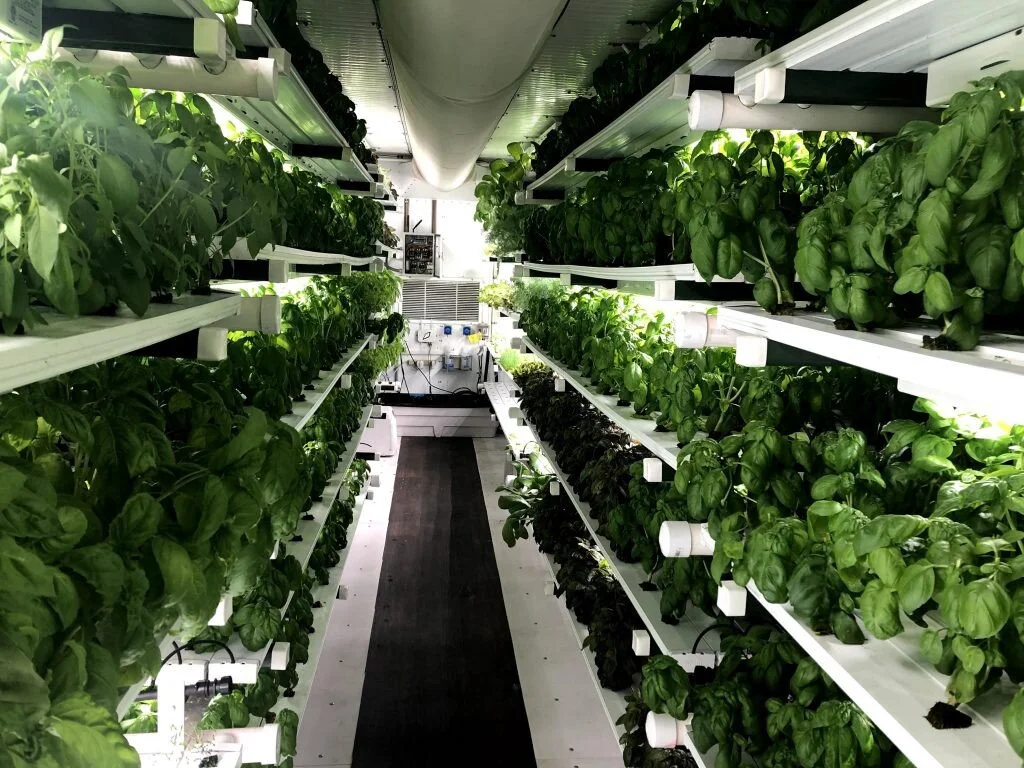 The Most Innovative Vertical Farming Companies Of The Decade — AGRITECTURE