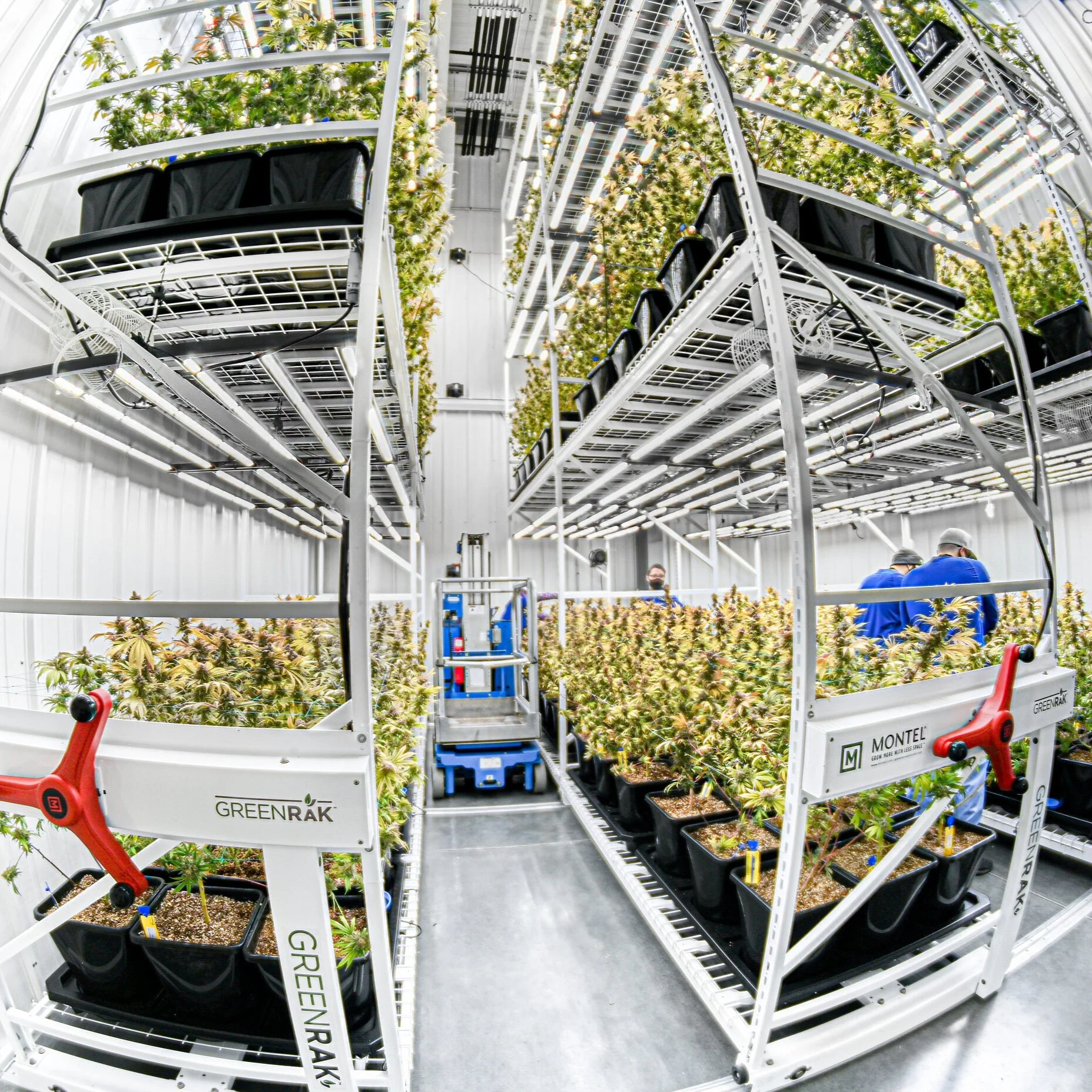 partnerships — All Blog Posts — AGRITECTURE