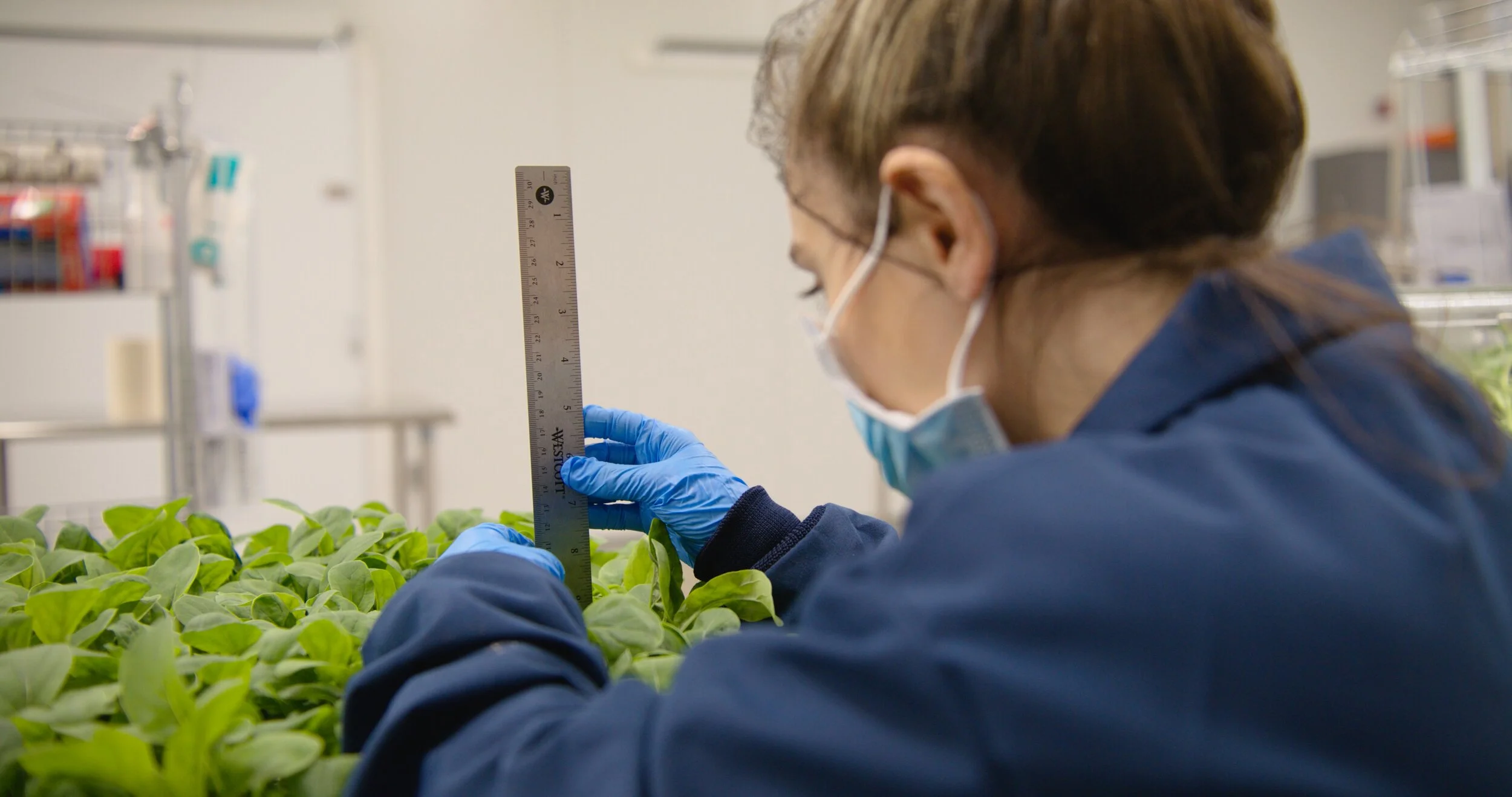 Bowery's 'Farm X' Is Pushing Vertical Farming To New Heights — AGRITECTURE