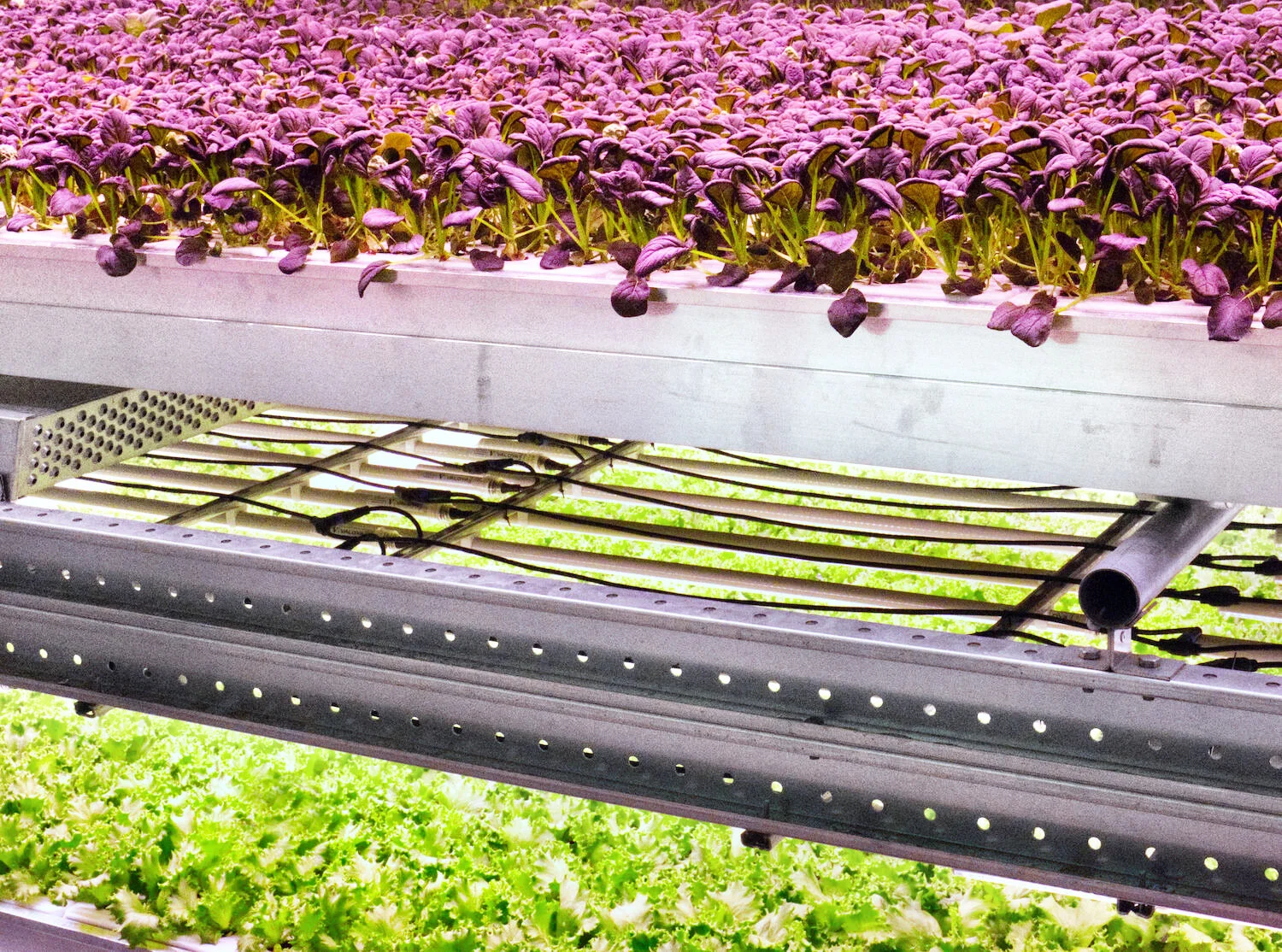 Vertical Farming Underground In Swedish Caves — AGRITECTURE