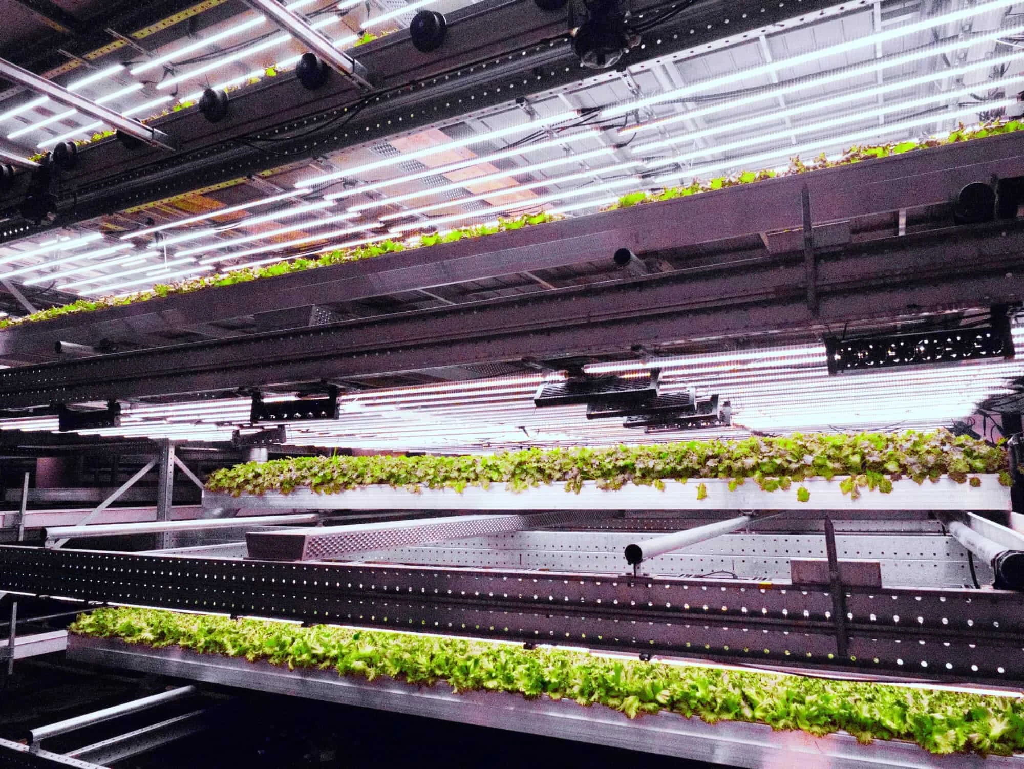 Vertical Farming Underground In Swedish Caves — AGRITECTURE