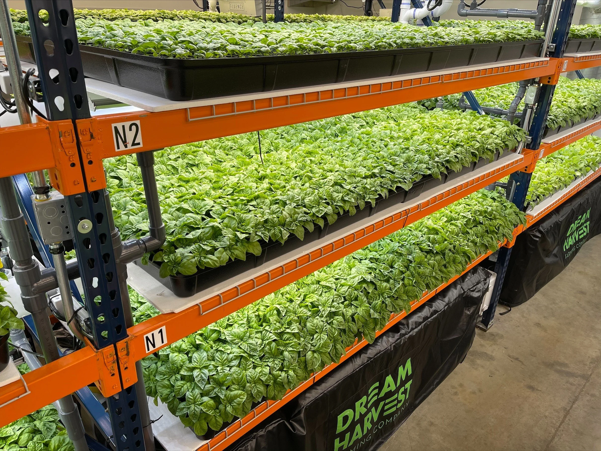 Agritecture Consulting Portfolio — AGRITECTURE