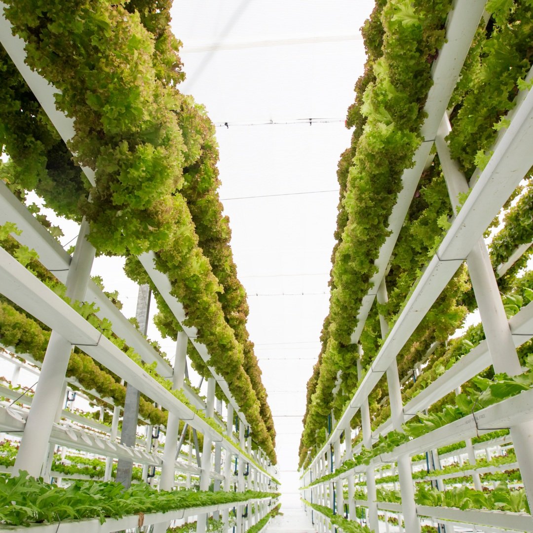 Research Articles about Controlled Environment Agriculture — AGRITECTURE