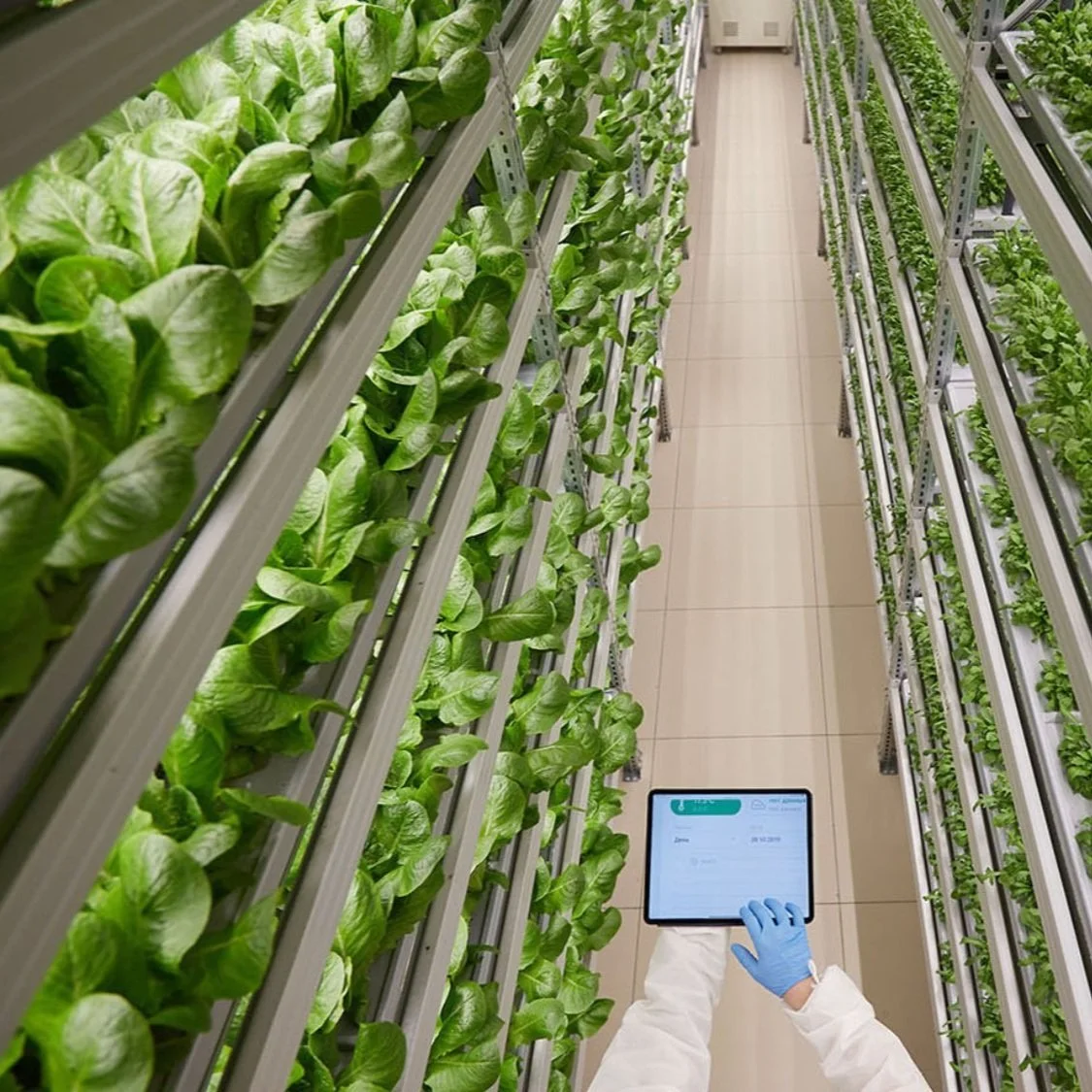 Agritecture In GCC-MENA — AGRITECTURE