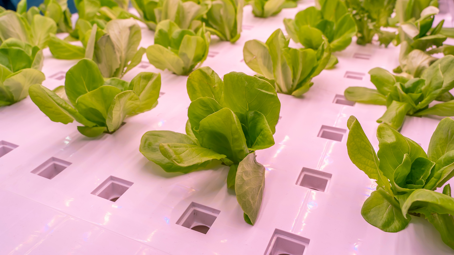 Events — AGRITECTURE