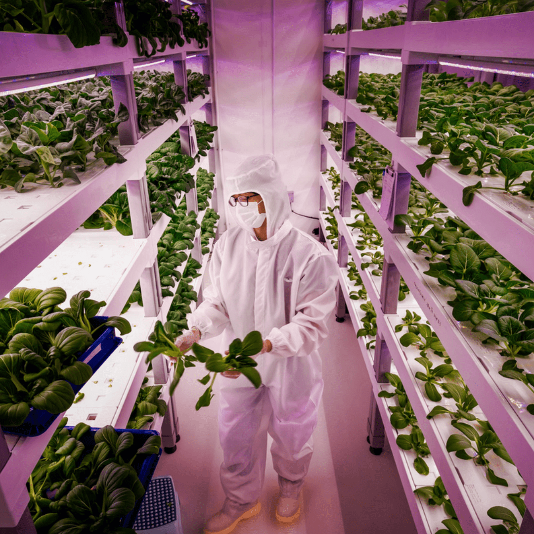 agrivoltaics — All Blog Posts — AGRITECTURE
