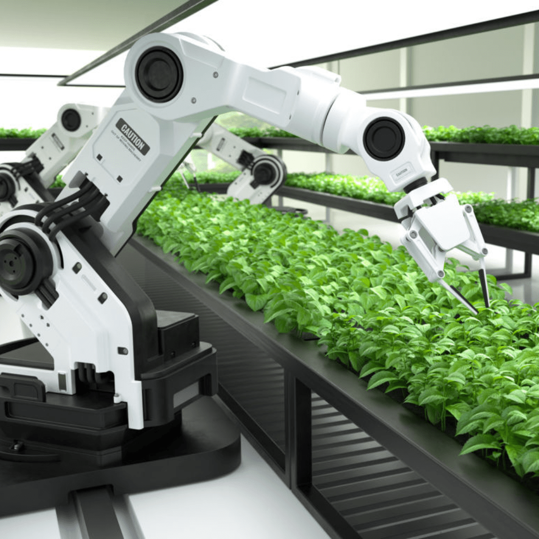 greenhouses — All Blog Posts — AGRITECTURE