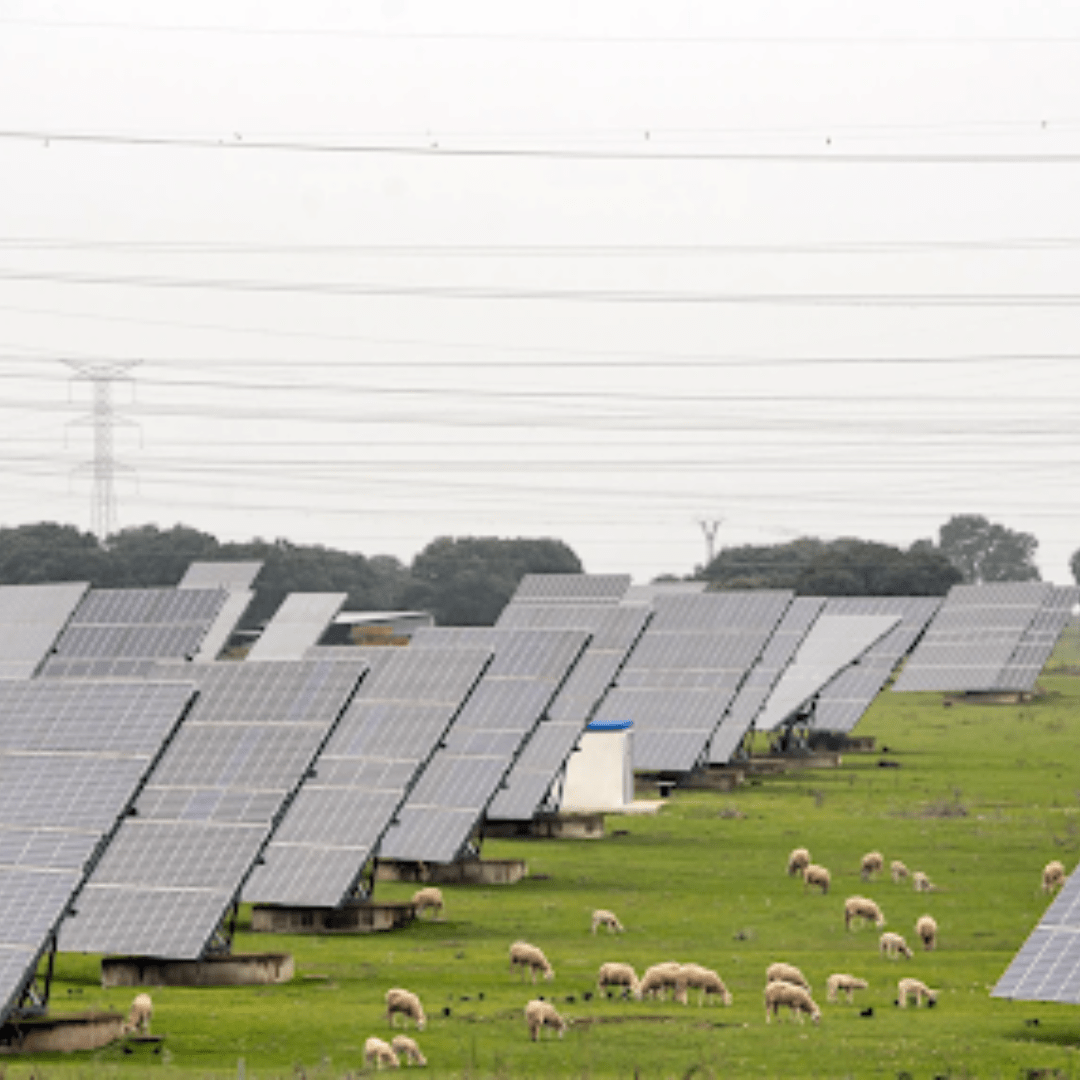 agrivoltaics — All Blog Posts — AGRITECTURE