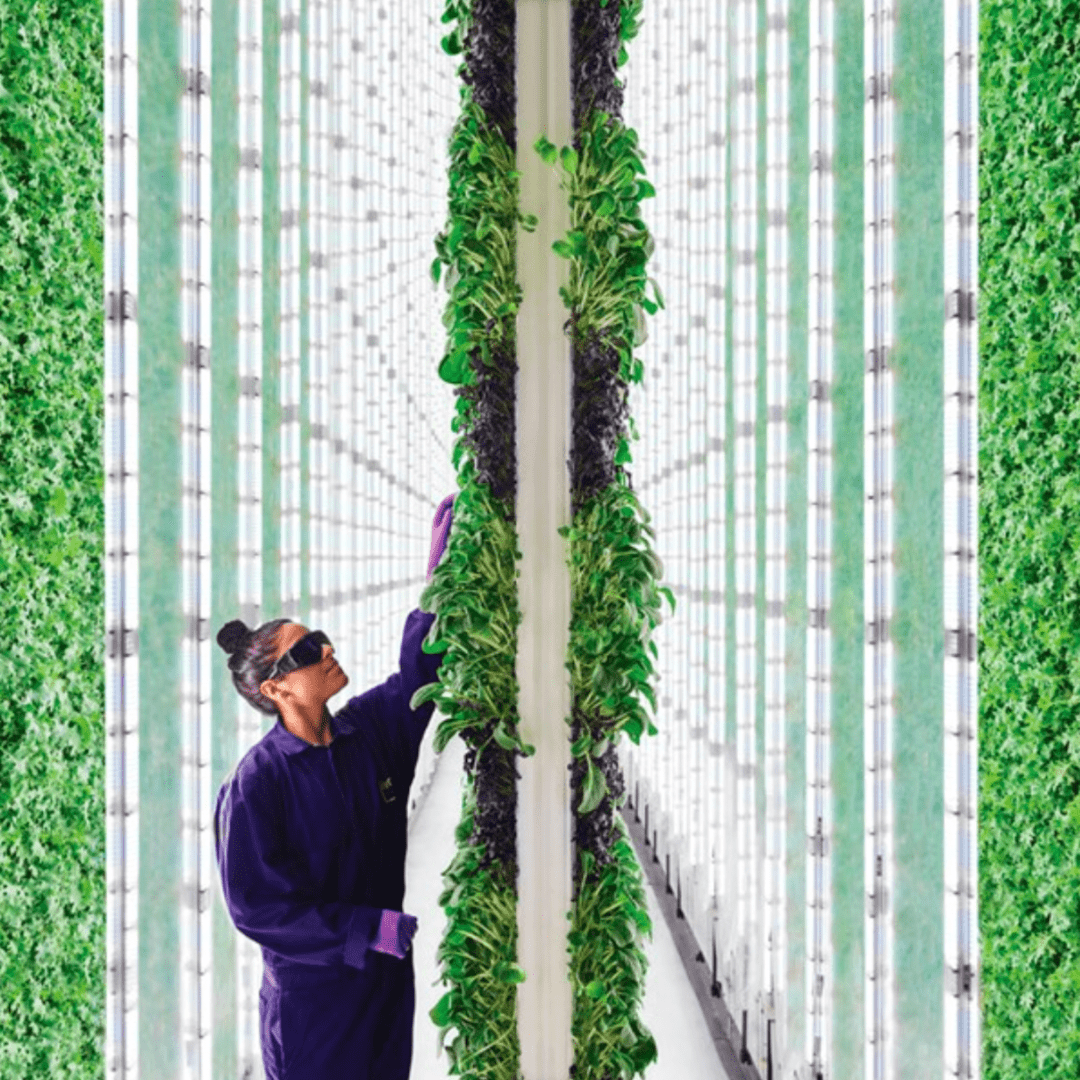 Brakeley — All Blog Posts — AGRITECTURE