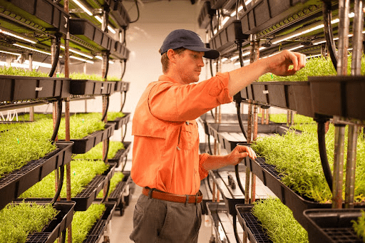 Tech Firm Powers Top Innovative Indoor Farms