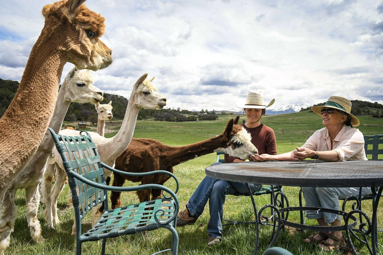 Agritourism: Agriculture and Tourism's Symbiosis — AGRITECTURE