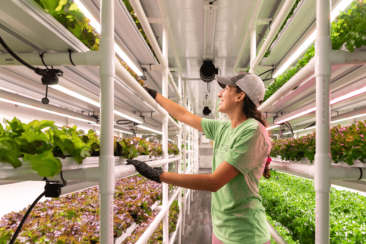 Is a Container Farm Right for Your CEA Facility?