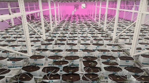 Why Architects and Planners Prefer Working With Montel