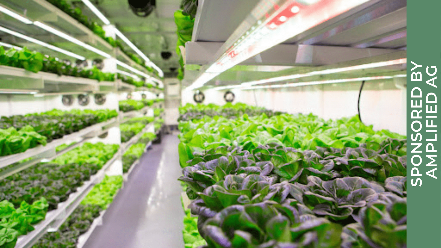 This technology company is powering some of the most innovative indoor ...