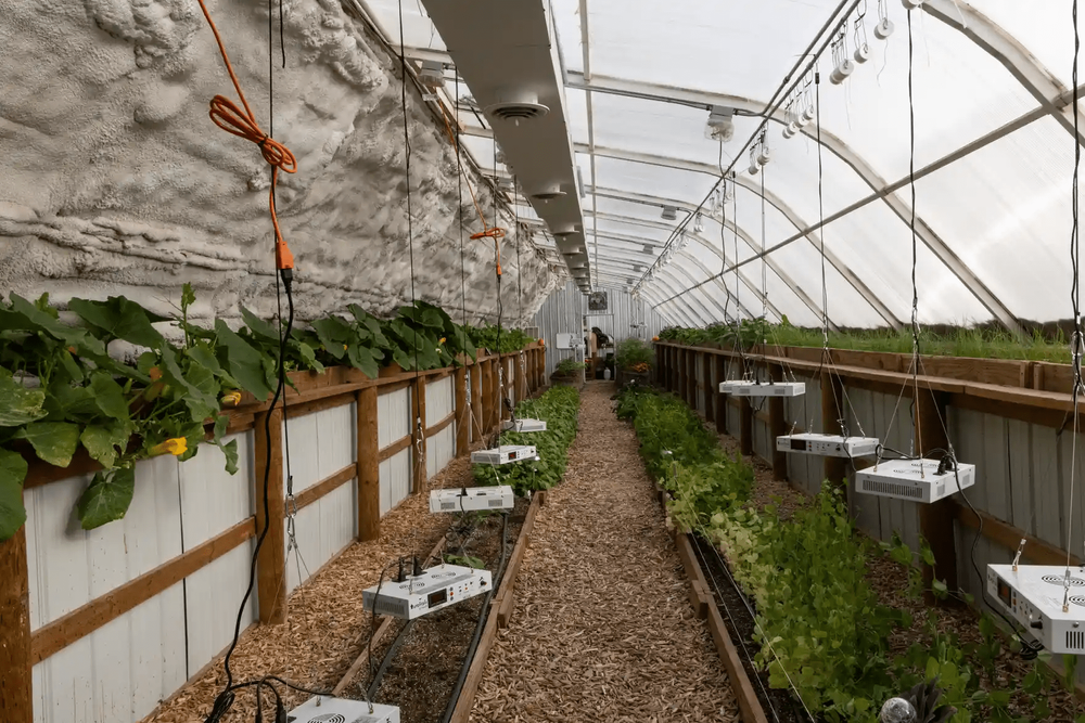 An Indigenous reservation has a novel way to grow food – below the ...