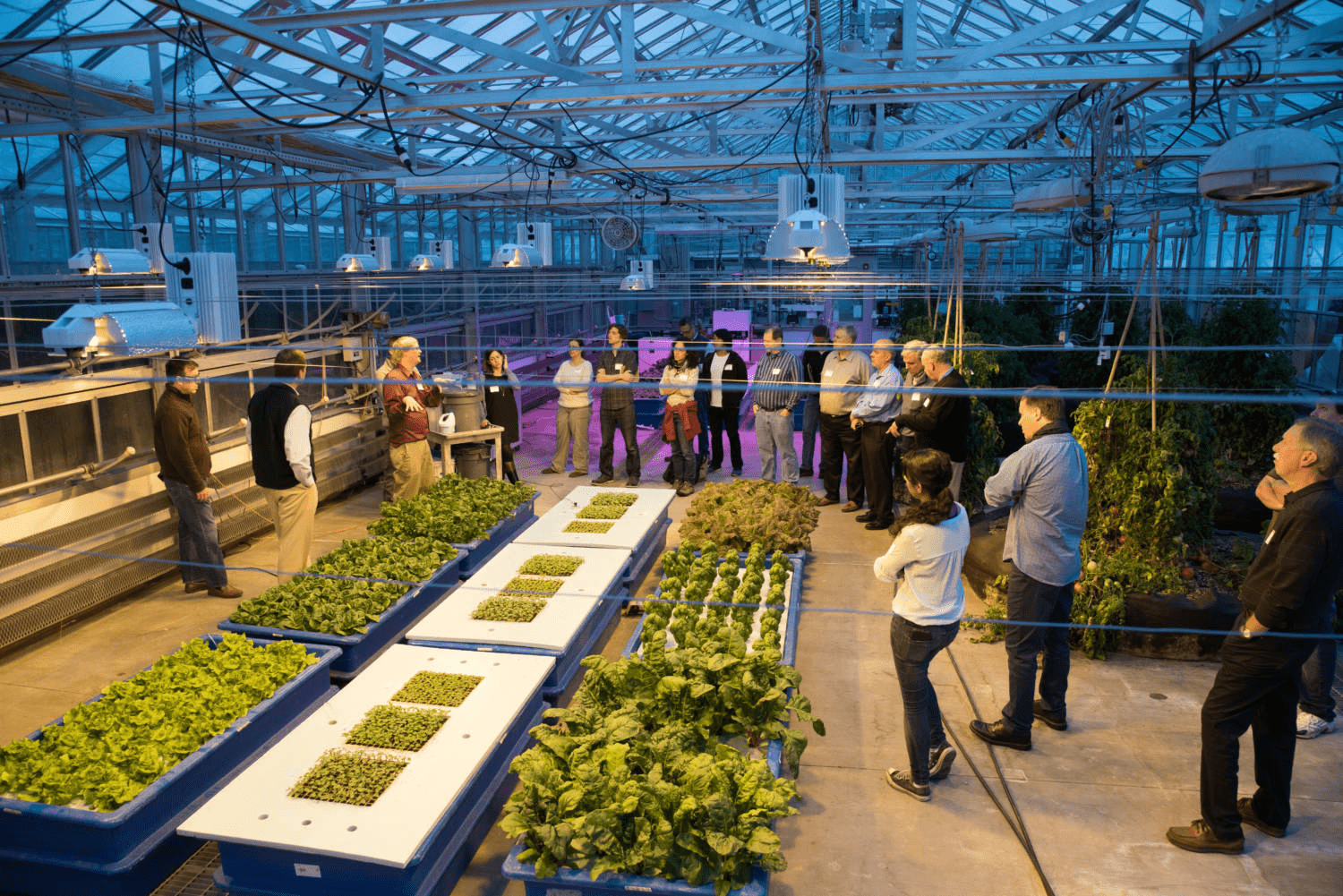 How Universities Use Agritecture Designer to Teach CEA