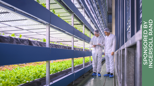 Is Cold Plasma the Next Big Technology Breakthrough in Indoor Ag? — AGRITECTURE
