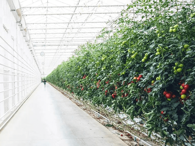 Beyond VC: Other Ways to Fund CEA Projects