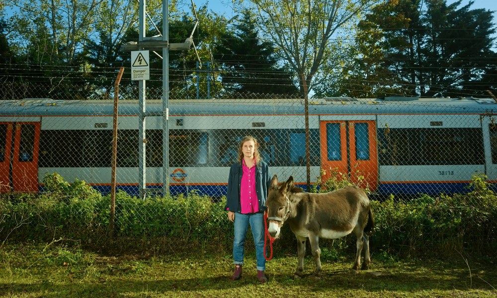 Growing together: how city farms have nurtured a generation of urban ...