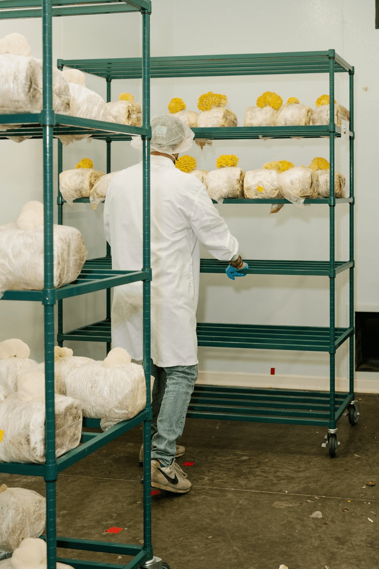 Smallhold Expands West, Boosts Circular Farming