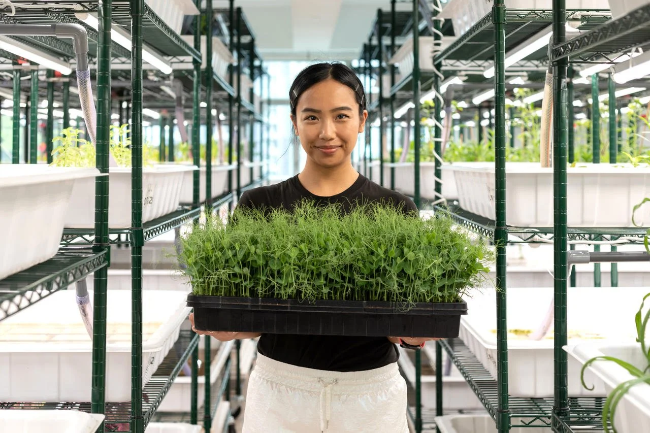 7 Urban Farming Trendsetters To Look Out For In 2022 — AGRITECTURE