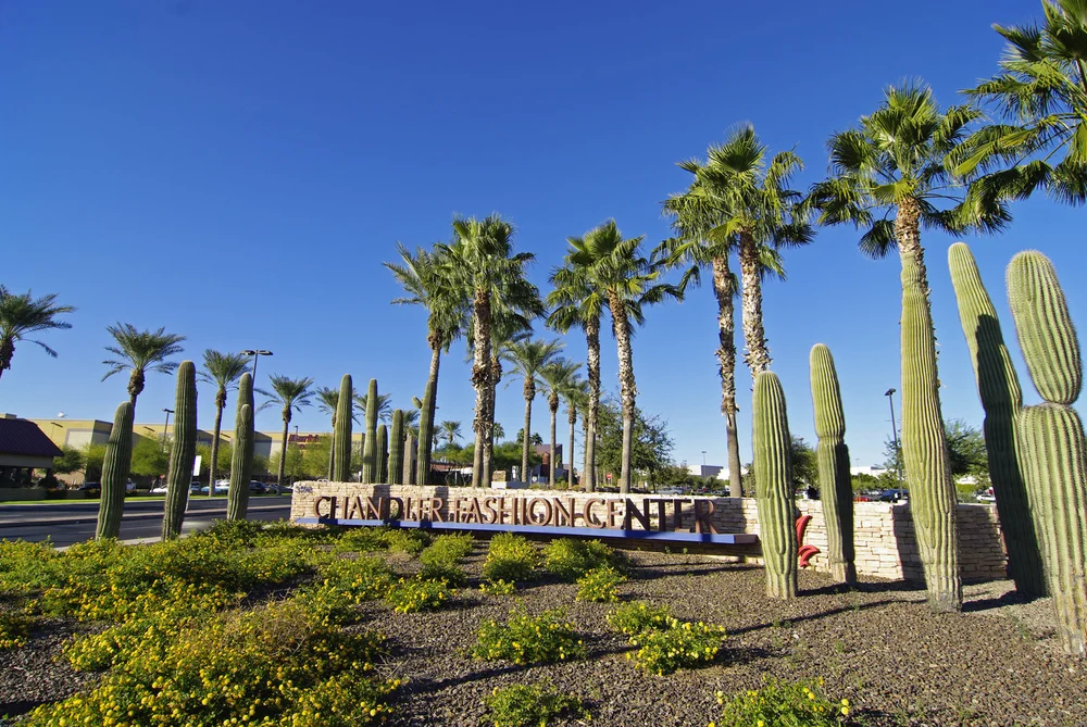 About — Hop Social Grill