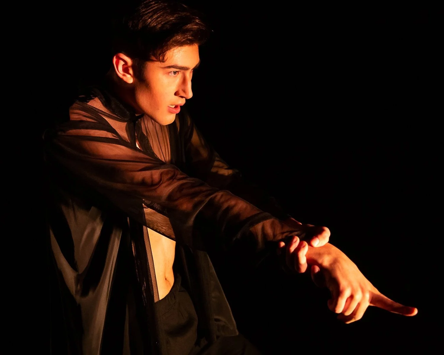 Performance Companies — Vitacca School for Dance