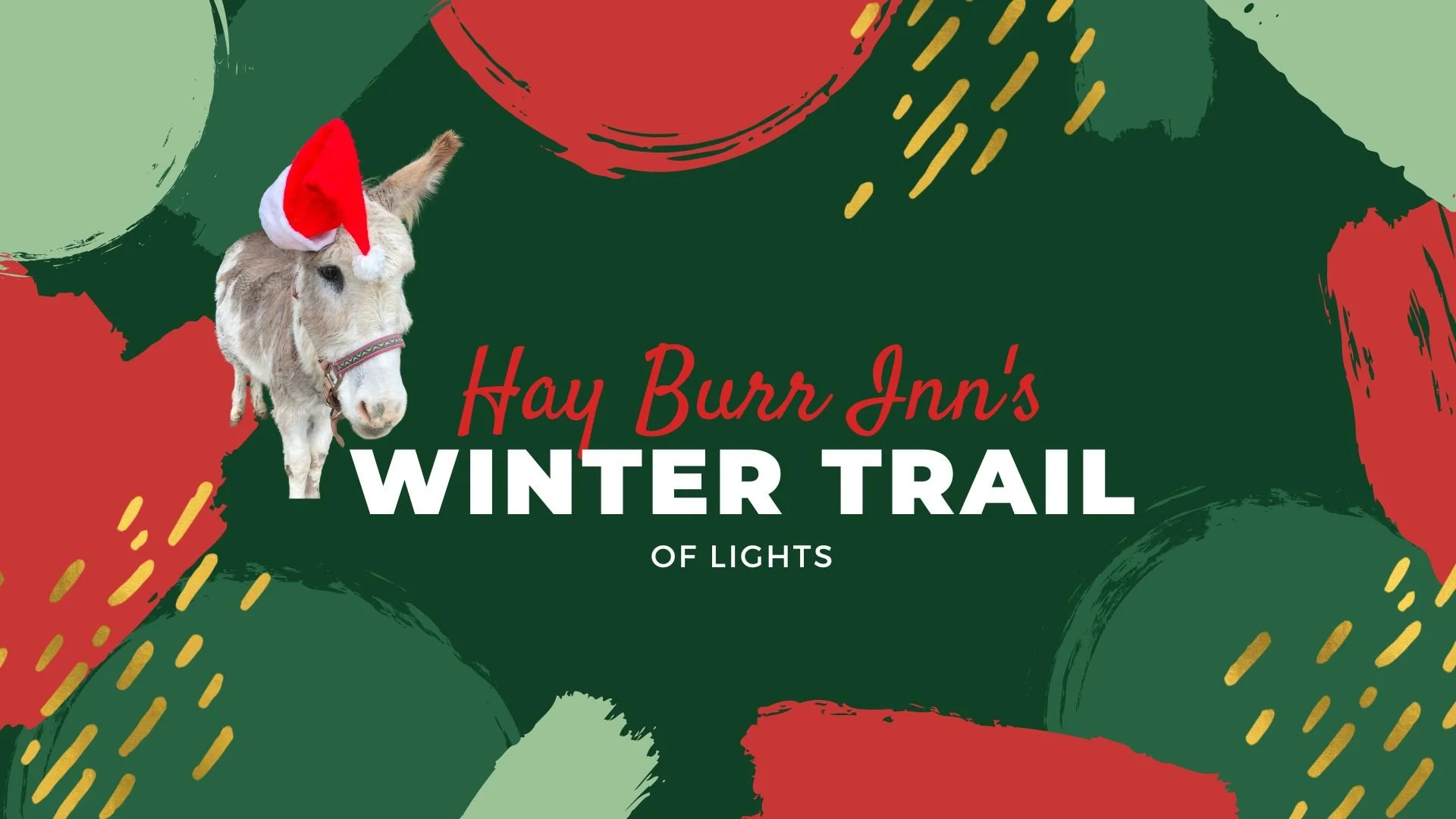 Hay Burr Inn Equine Rescue & Sanctuary