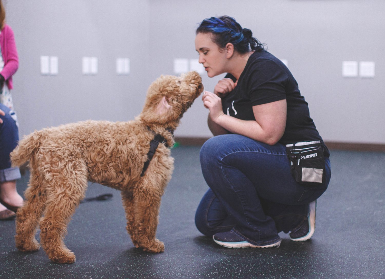 About — The Pawsitive Pooch