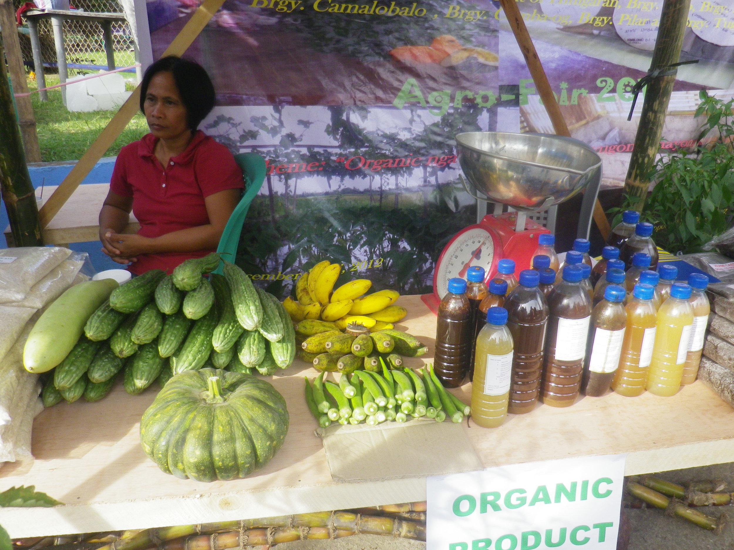 sustainable livelihoods — QUIDAN KAISAHAN