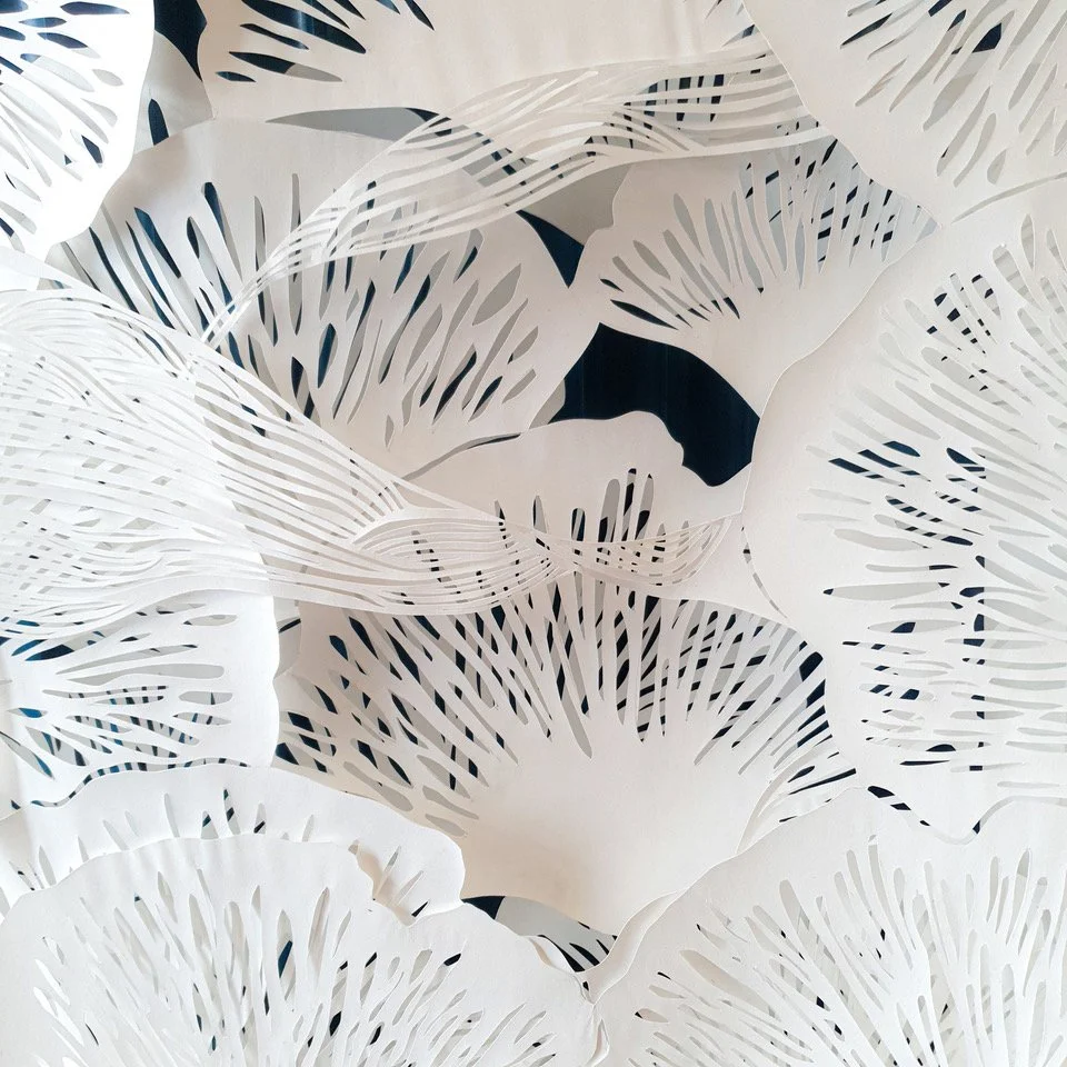 Sara Phillips — Gower Open Studios