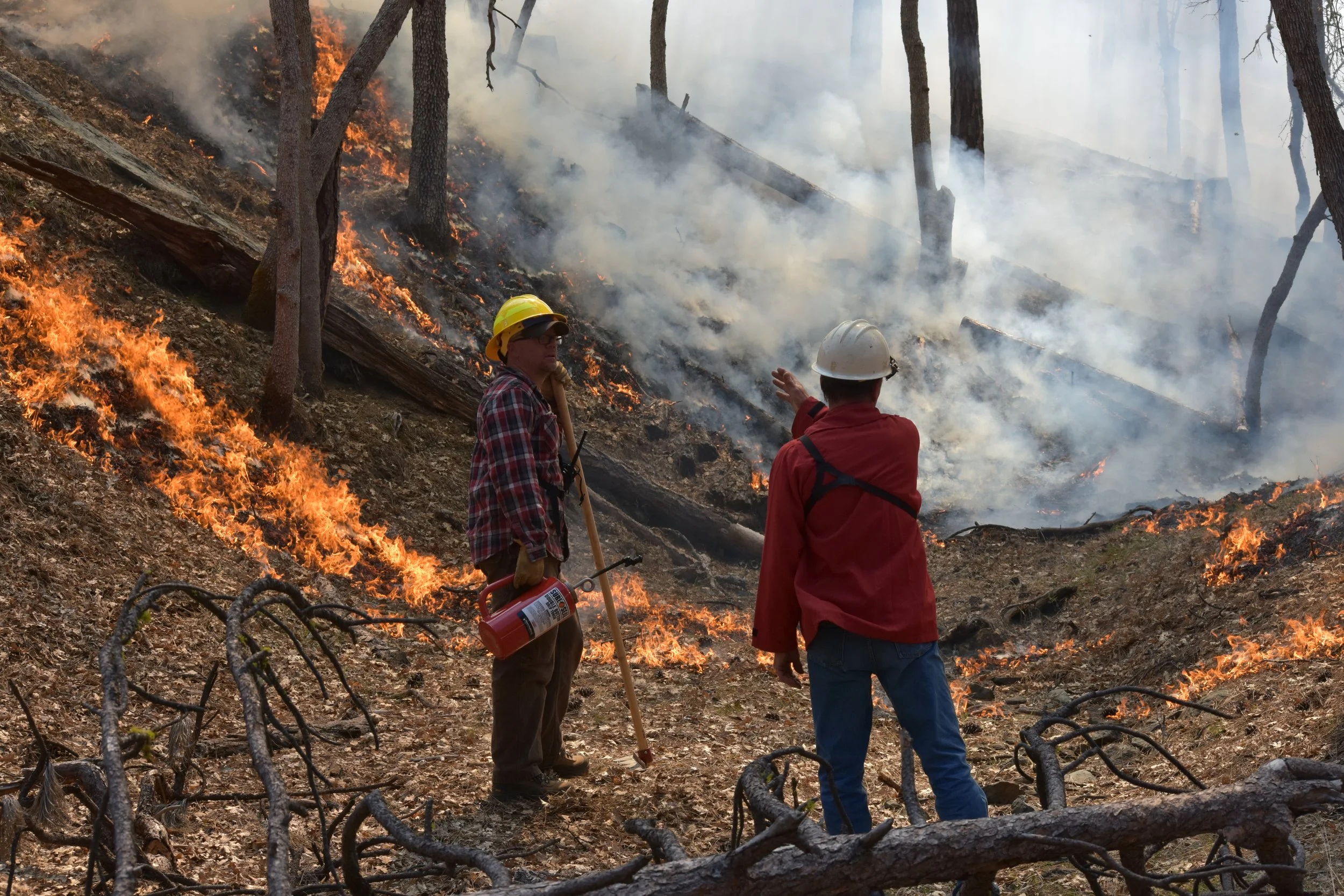 Scott River Watershed Council — WCS Climate Adaptation Fund