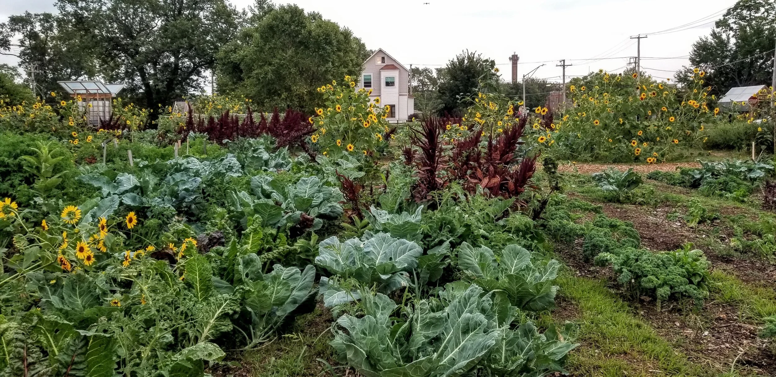 Sweet Water Foundation