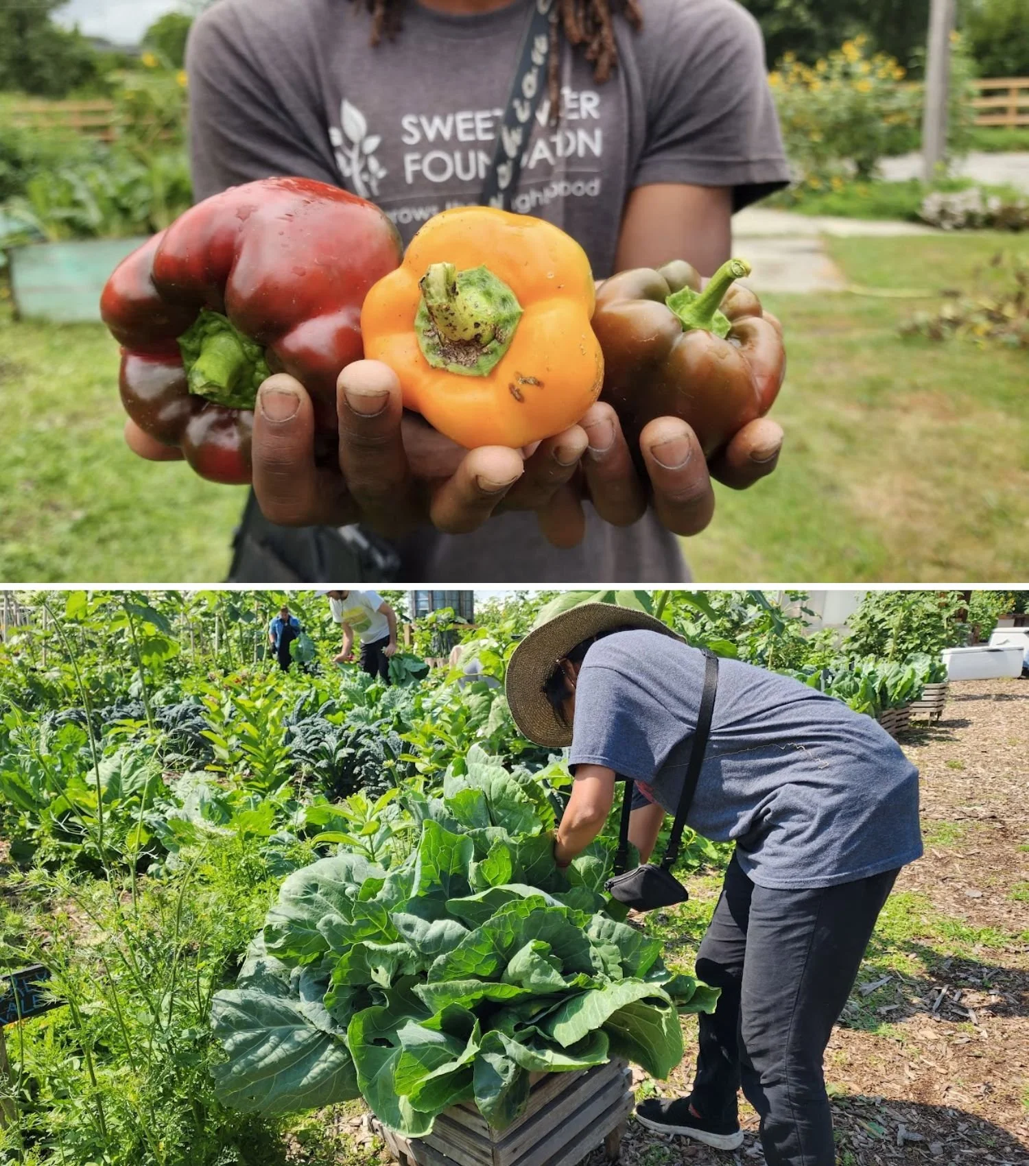 2023 Annual Summary — Sweet Water Foundation