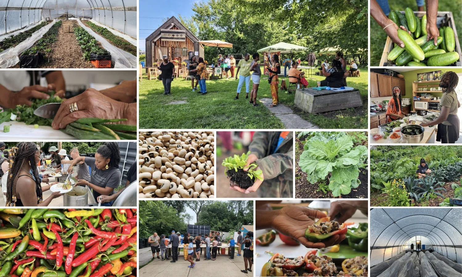 2023 Annual Summary — Sweet Water Foundation
