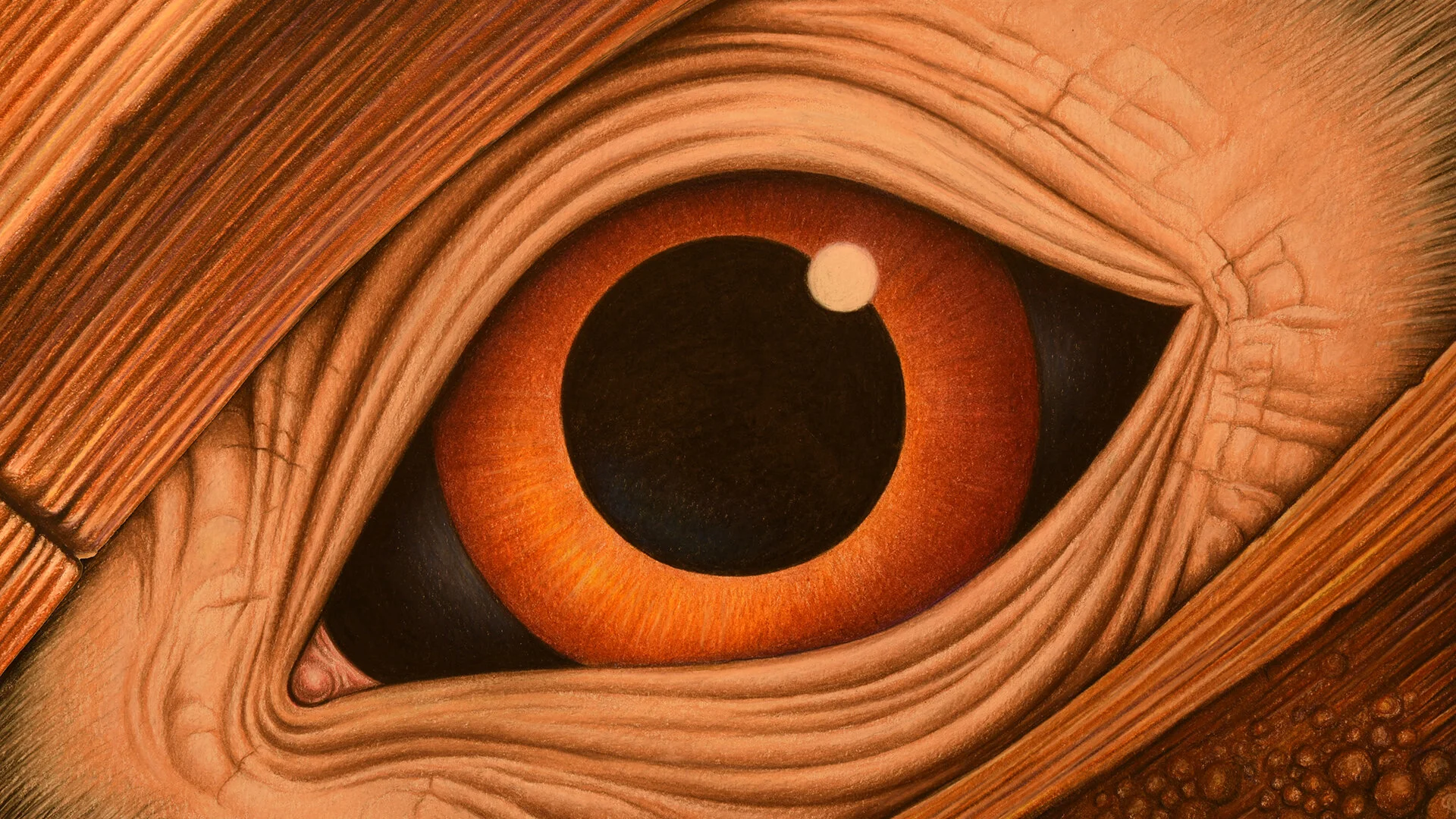 Robbie C. Ward Illustration