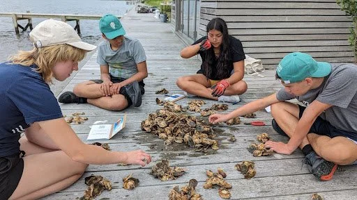 Our 2023 Educational Activities and Events — Friends of Bellport Bay