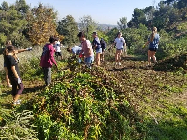Wilderness Park Project — South Bay Parkland Conservancy