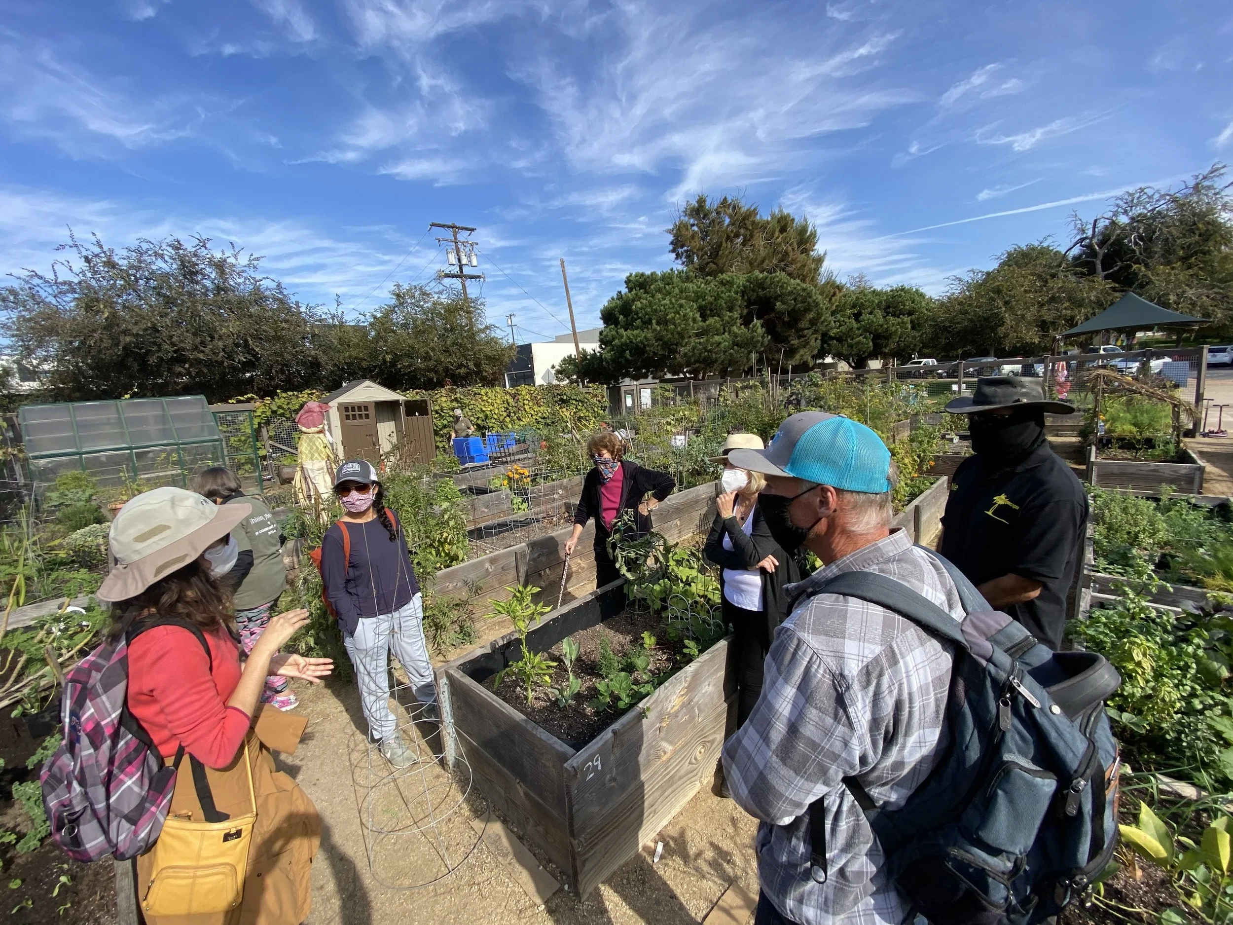 Alta Vista Park - RBCG Overview — South Bay Parkland Conservancy