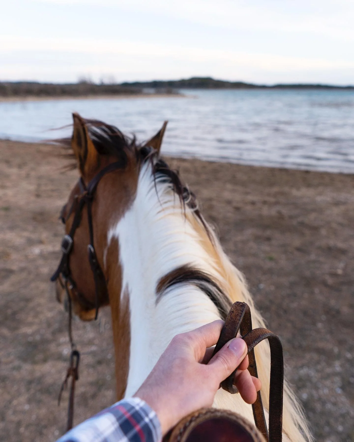 FAMILY HORSEBACK RIDING