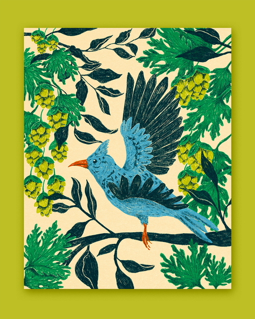 illustration — Kelly Ryan