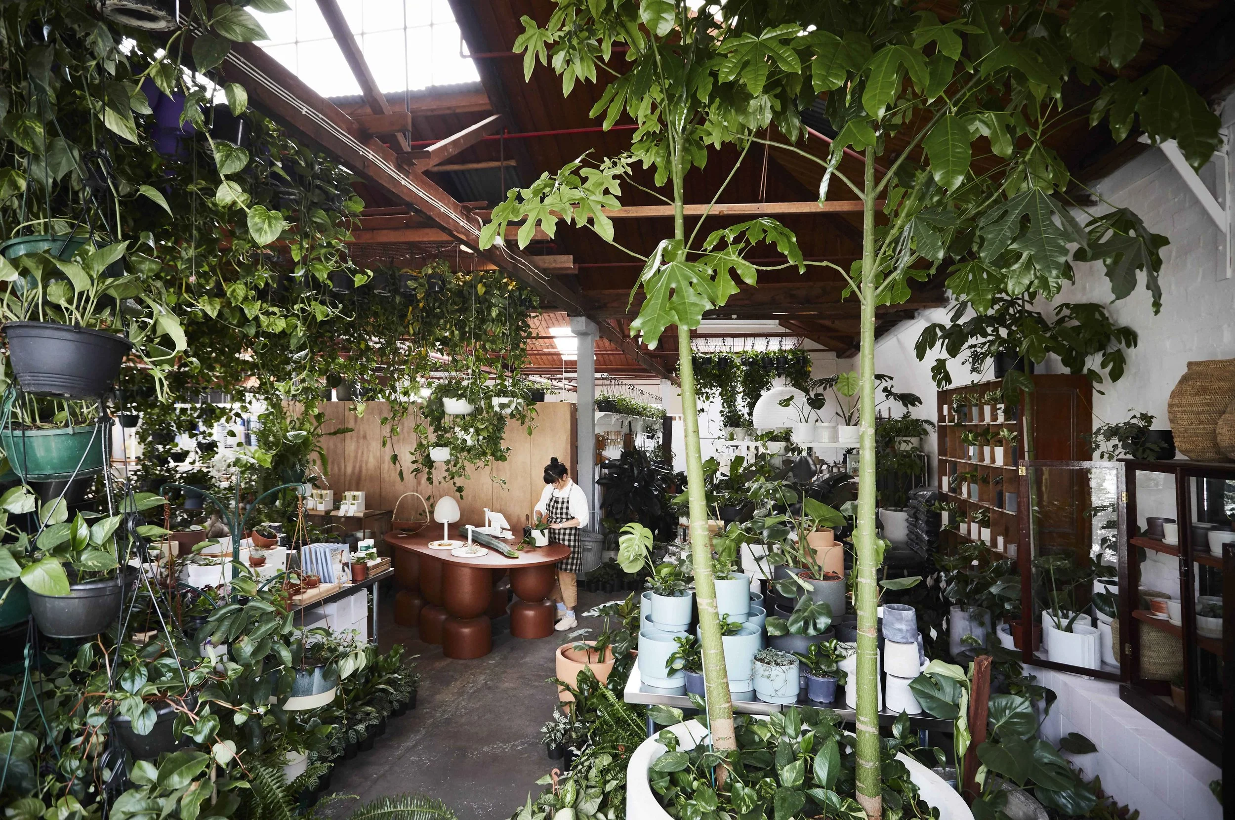 The Plant Society - all things green